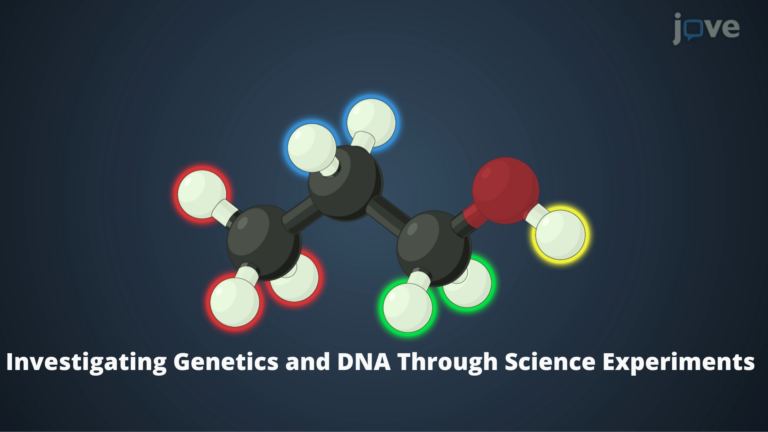 DNA Extraction Experiment for High School Students