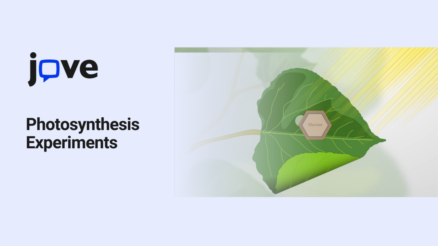 Photosynthesis Experiments for High School