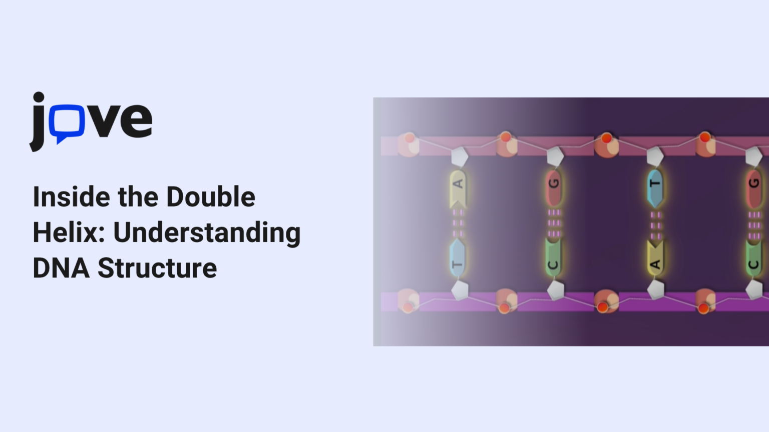 DNA Structure | Teaching the Double Helix with JoVE Videos