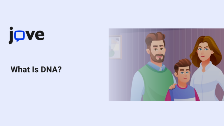 What Is DNA? | Easy DNA Explanation for Middle School Students