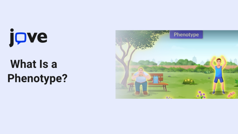 Phenotype | How to Teach Observable Traits with JoVE Videos