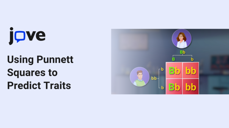 Punnett Squares | Teaching Trait Prediction with Visual Tools