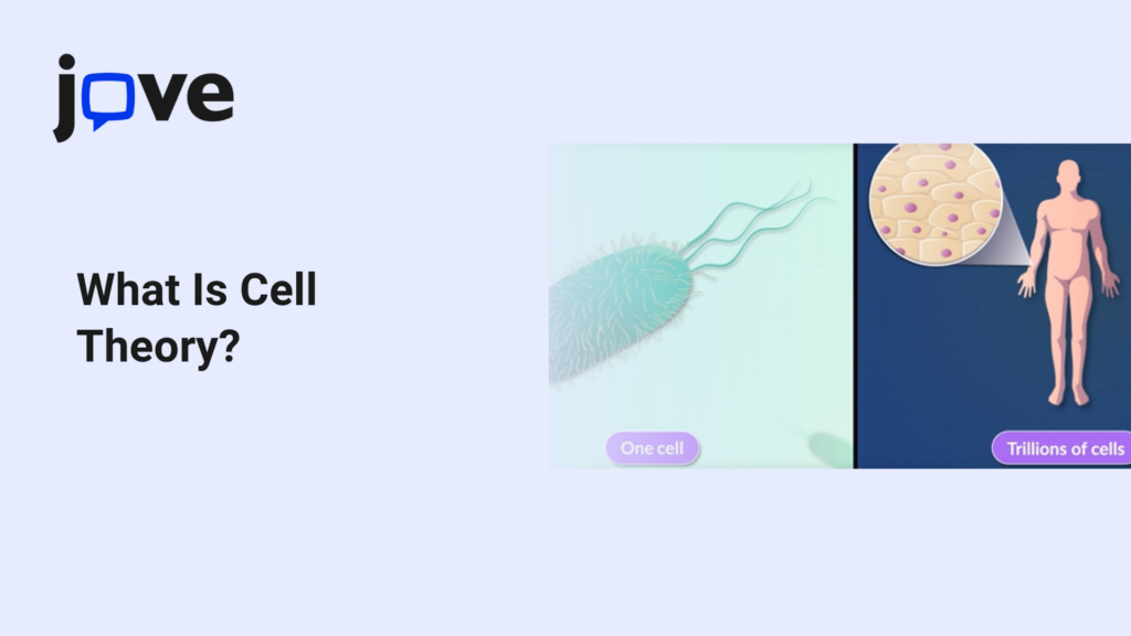 What Is Cell Theory? A Beginner’s Guide for Middle School Science